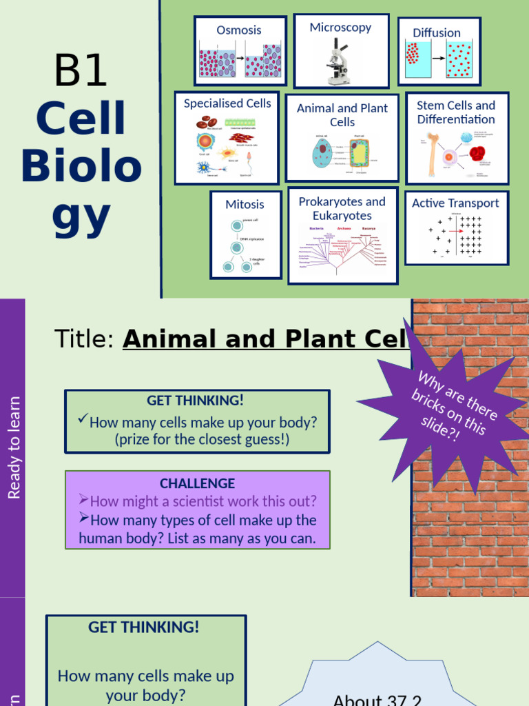 Biology 1 - Cell Biology | PDF | Prokaryote | Cell (Biology)