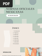 Nom-017 - STPS-2018 Equipo de Protección Personal | PDF