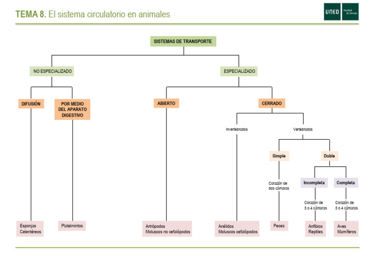 Esquemas. Tema 8 | PDF