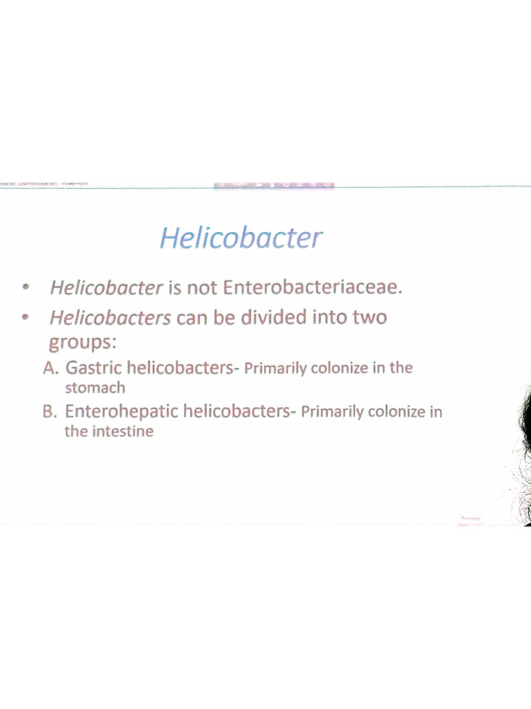 helicobacter and Campylobacter jejuni | PDF