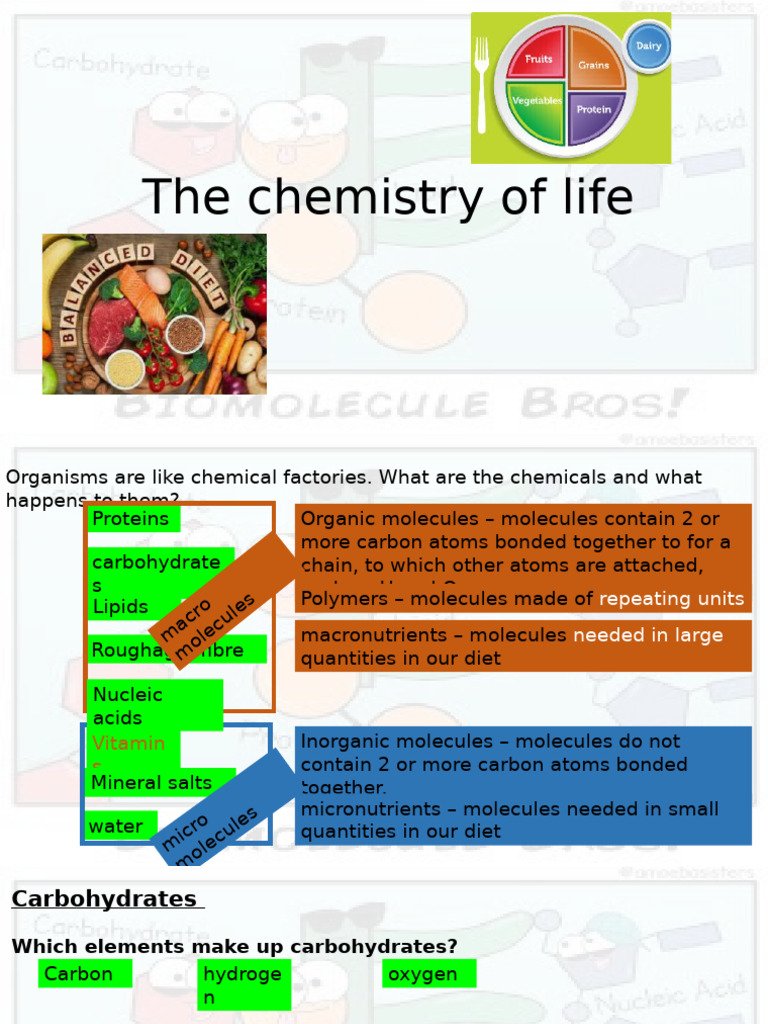 Chemistry of Life: Carbohydrates & Lipids | PDF | Carbohydrates | Glucose