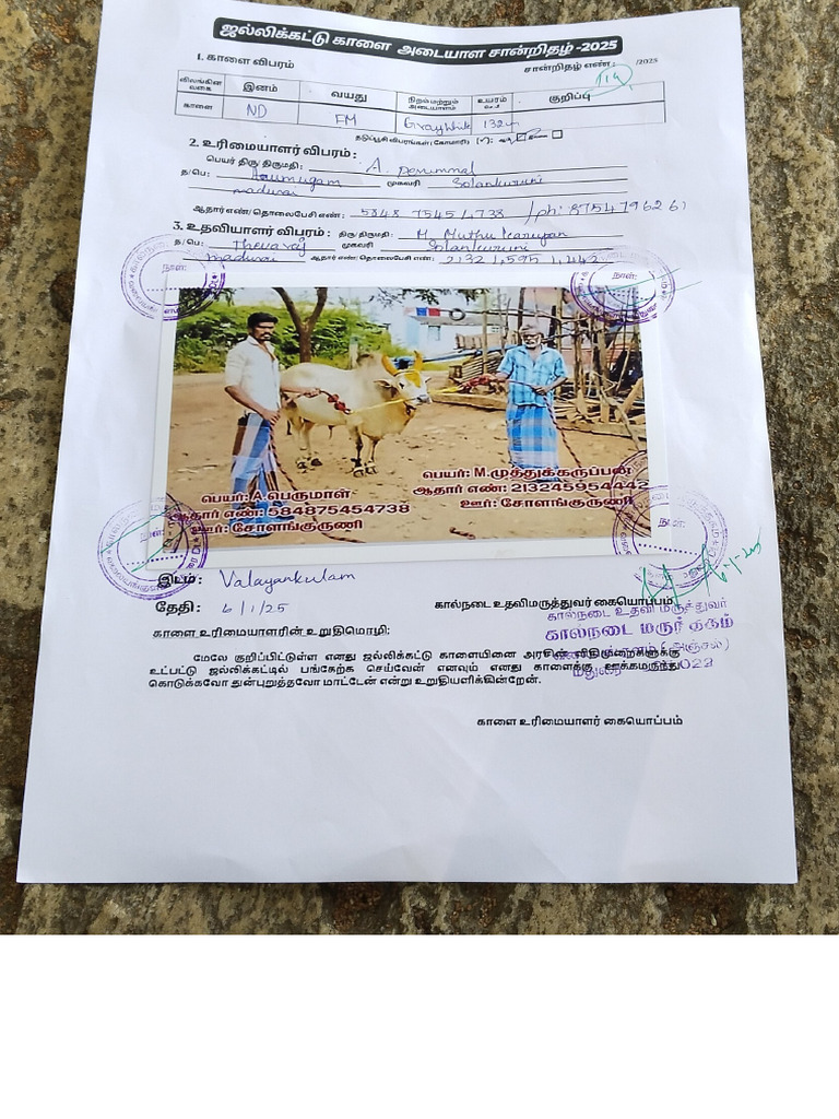 All PDF Reader 20250106 18.19.55 | PDF