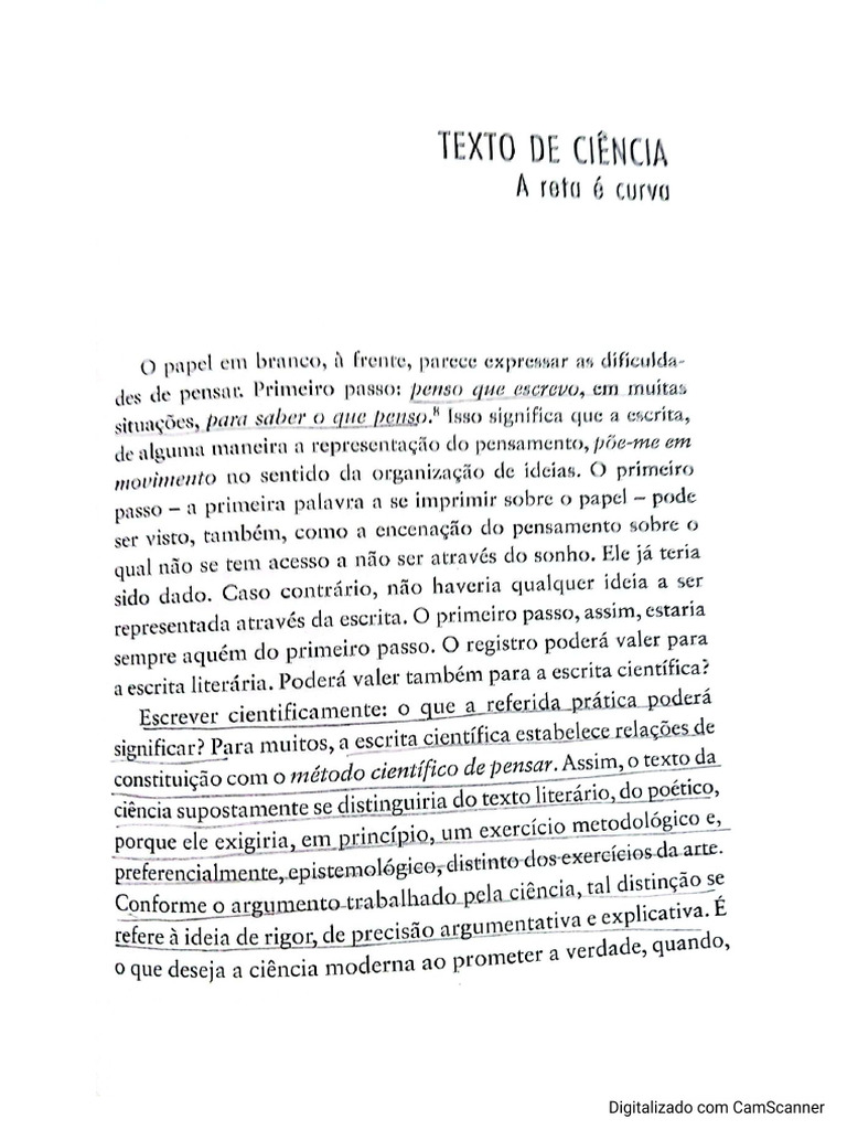 Texto de Ciência A Reta É Curva Hissa | PDF