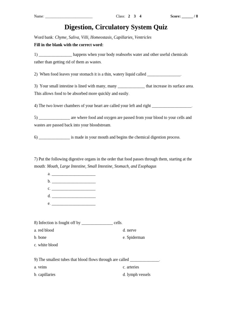 Digestion and Circulatory System Quiz | PDF | Circulatory System ...