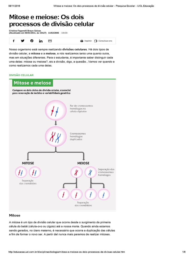 Mitose e meiose_ Os dois processos de divisão celular - Pesquisa ...