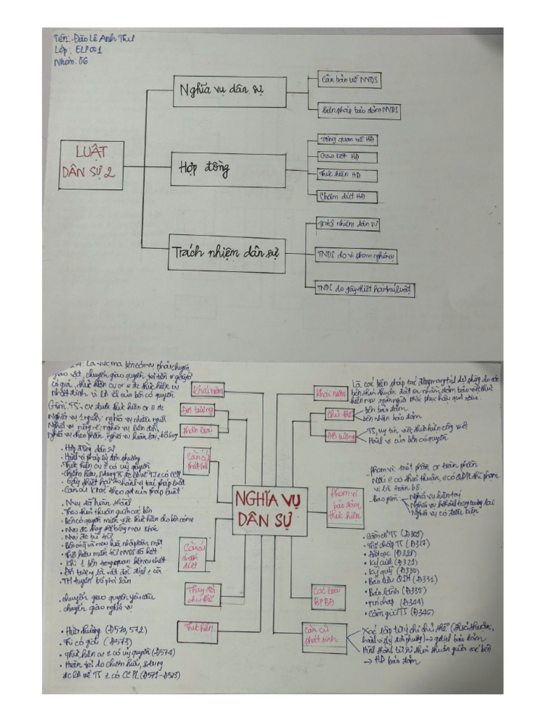 Mindmap lds2 | PDF