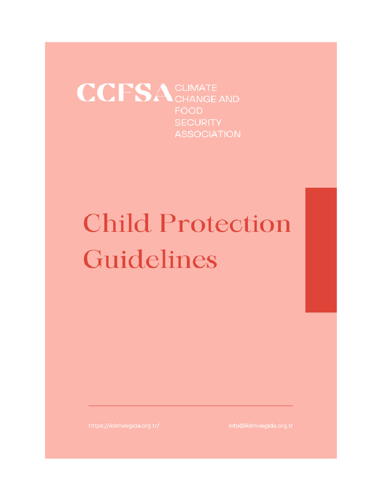 Child Protection guidelines | PDF | Information | Collaboration