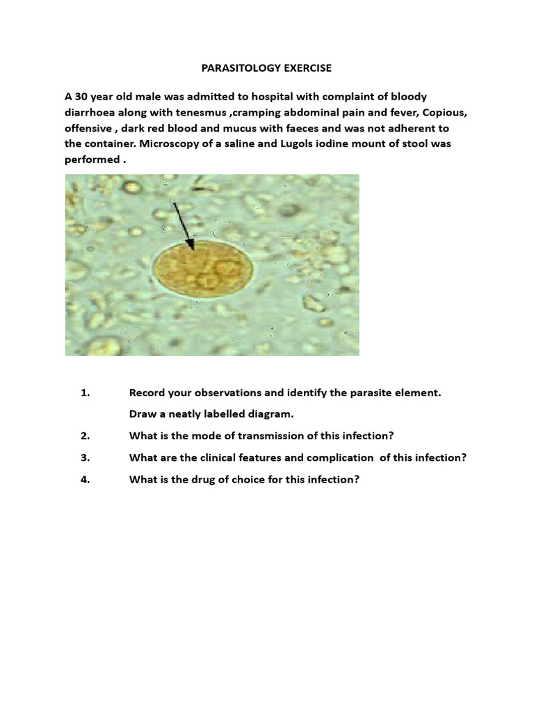 Entamoeba Histolytica Infection Guide | PDF