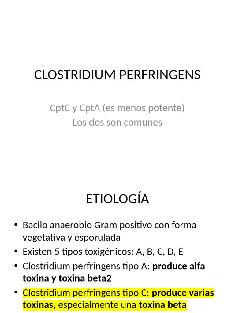 Clostridium Perfringens | PDF | Diarrea | Enfermedades y trastornos humanos