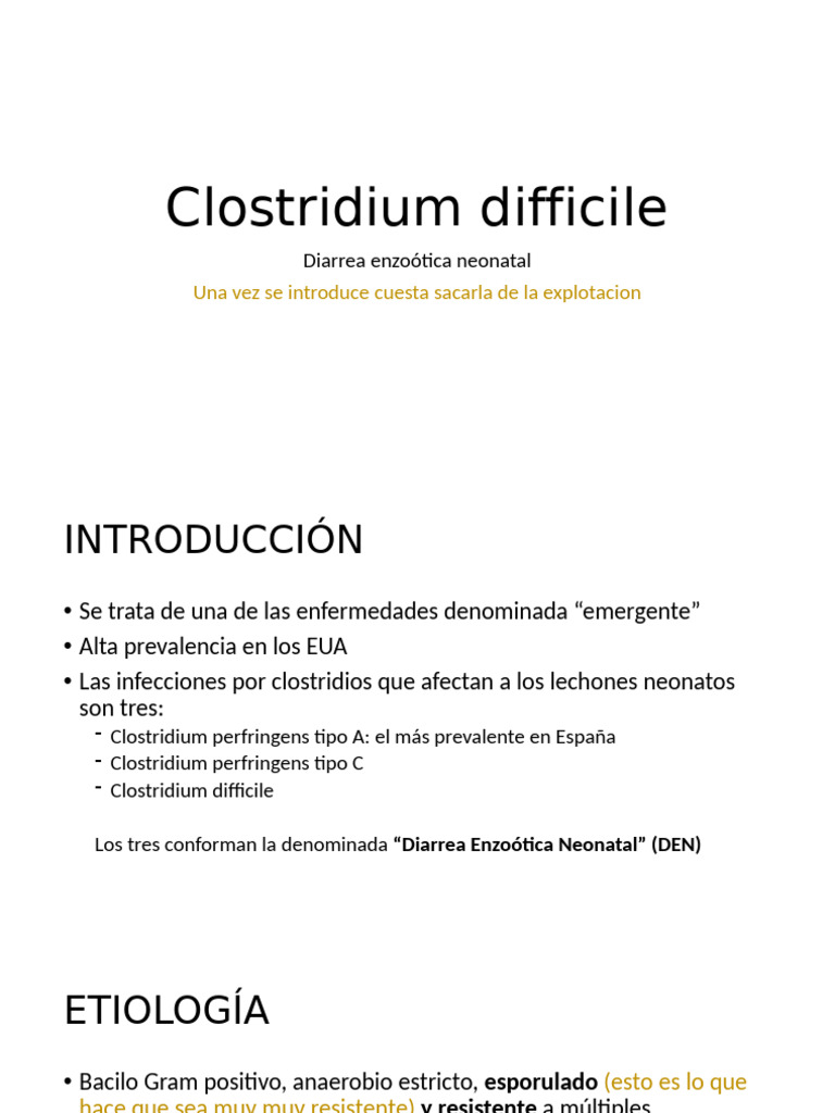Clostridium Difficile | PDF | Diarrea | Especialidades Medicas
