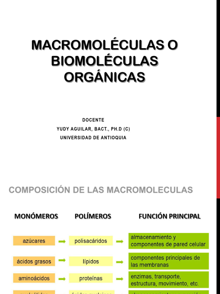 clase 2-MACROMOLÉCULAS | PDF | Carbohidratos | Polisacárido