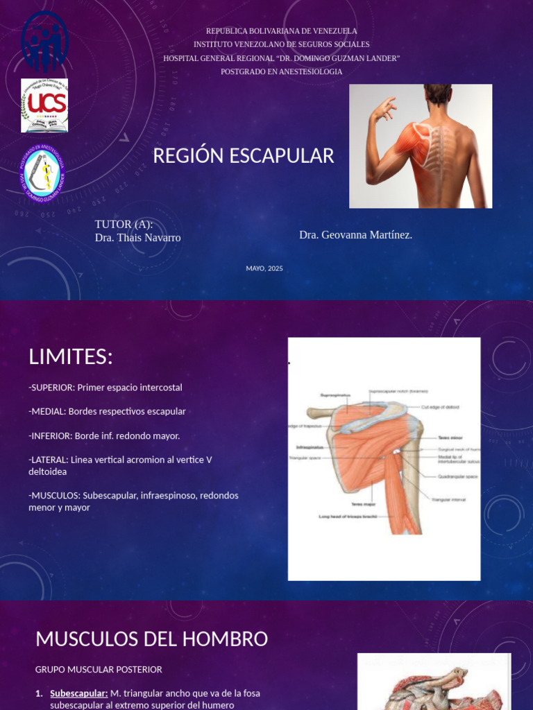 Region Escapular | PDF | Articulaciones | Hombro