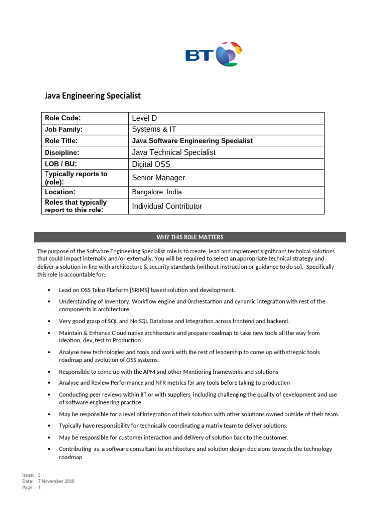 Level-D - JD - Java Engineering Specialist 2 | PDF | Software | Cloud Computing