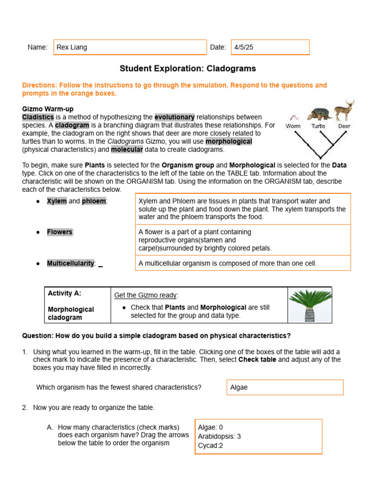 12.5 Cladograms GIZMO | PDF | Single Nucleotide Polymorphism ...
