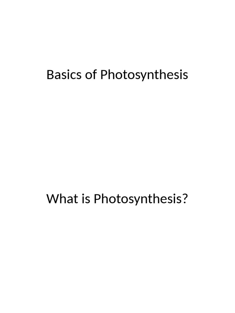 Presentation 5 Basics of Photosynthesis | PDF