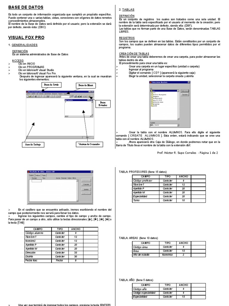 Visual Fox | PDF