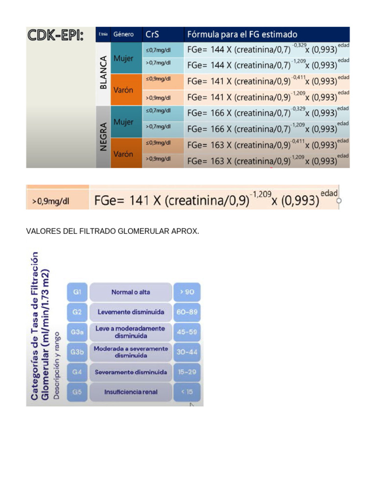 Valores Del Filtrado Glomerular Aprox | PDF
