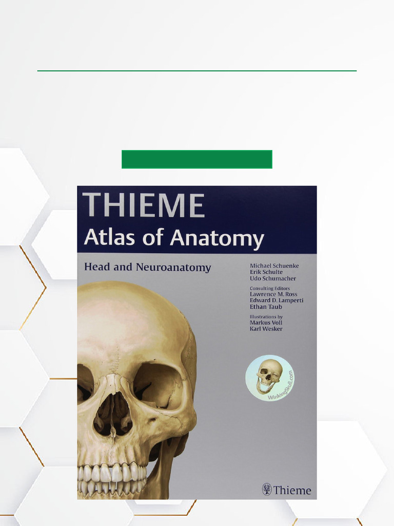 Download Head and Neuroanatomy Atlas | PDF | Brainstem | Central ...