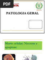 Tipos de Necrose e Suas Características | PDF | Necrose | Biologia