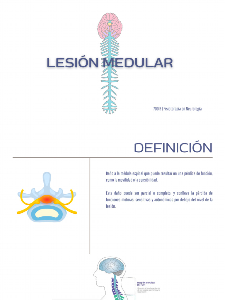 Lesion Medular | PDF
