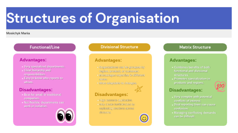 Structures of Organisation_compressed | PDF