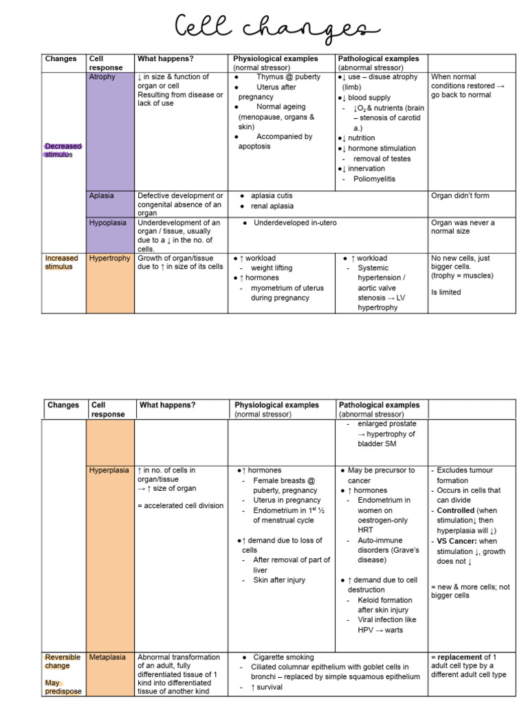 Cellular Changes and Their Impacts | PDF | Neoplasms | Epithelium