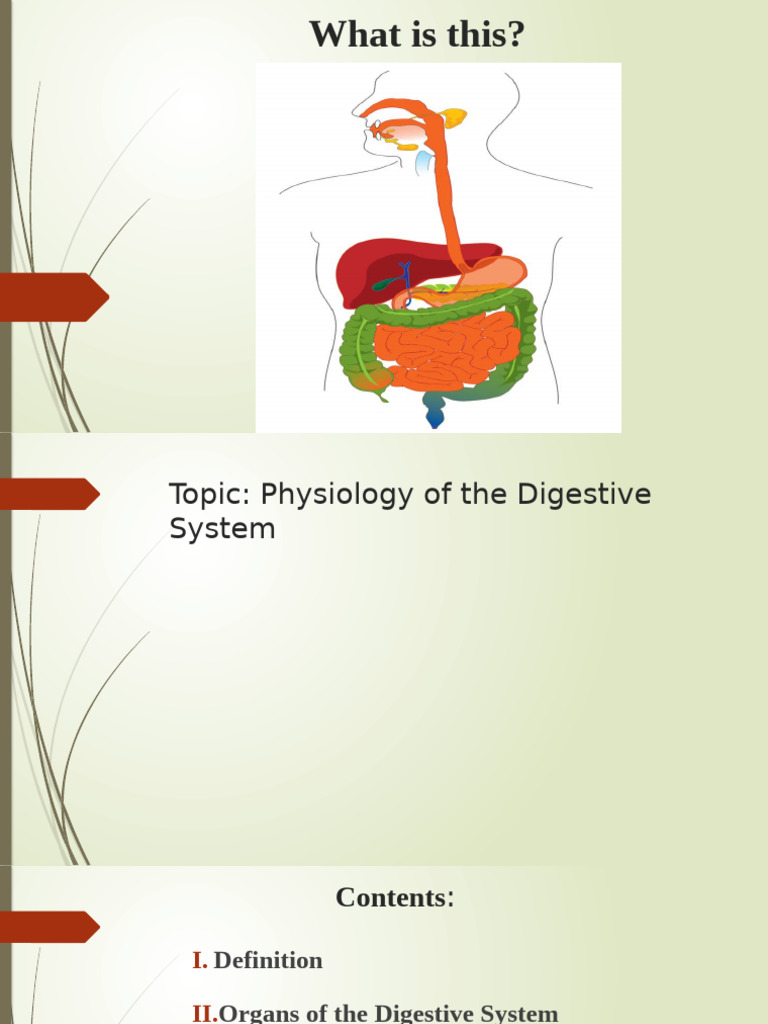 Physiology of The Digestative System NG | PDF
