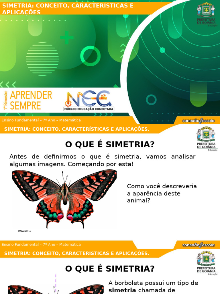 Simetria: Conceitos e Aplicações | PDF | Simetria | Geometria