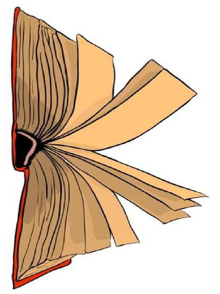 Libro | PDF