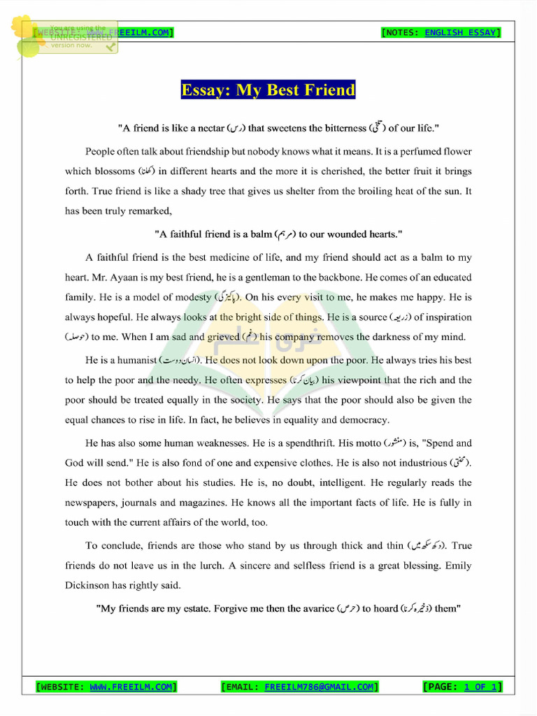 My Best Friend | PDF