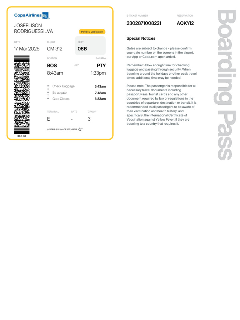 Boarding Pass | PDF