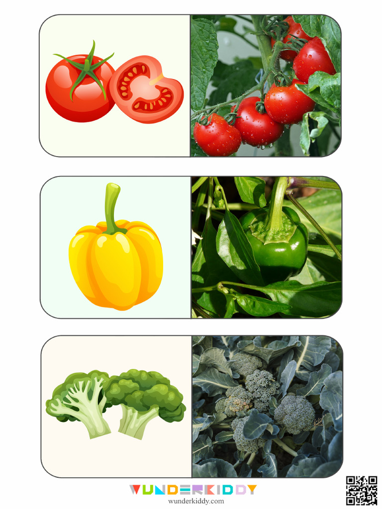 Wunderkiddy Vegetable Cards | PDF