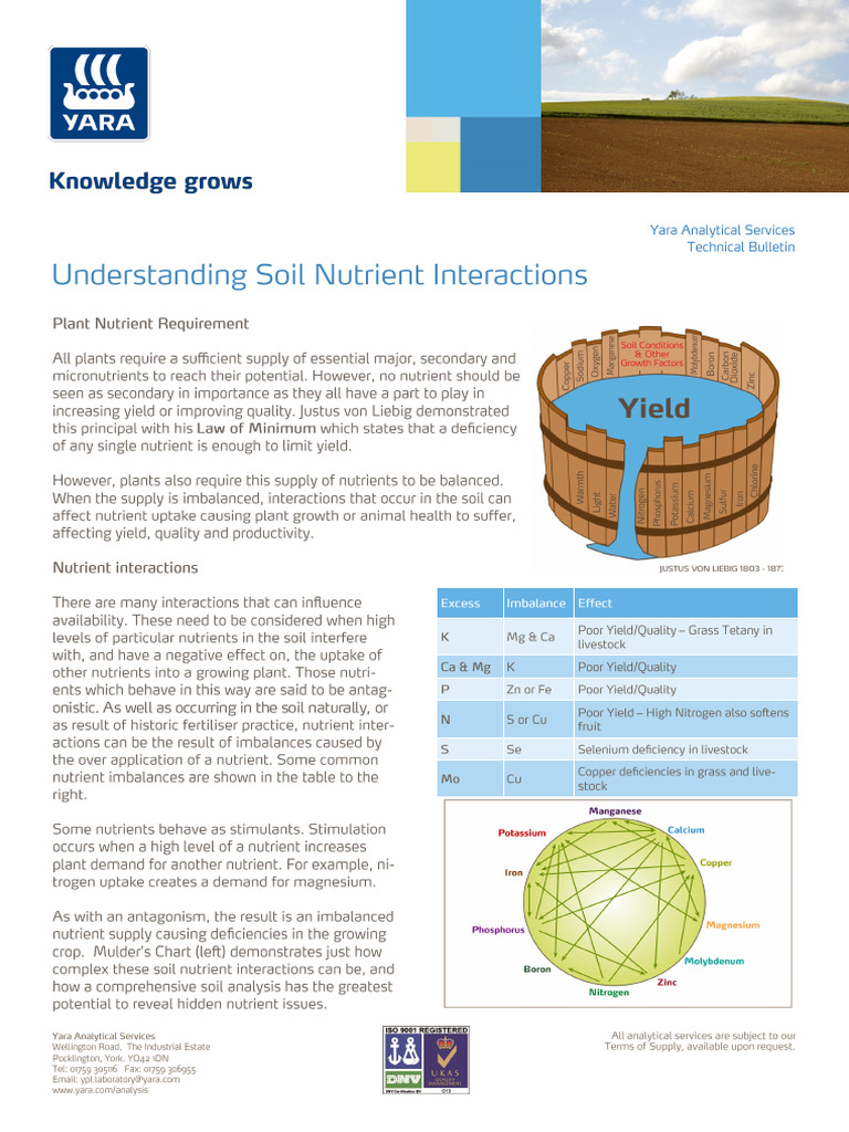 Understanding Soil Nutrient Interactions | PDF
