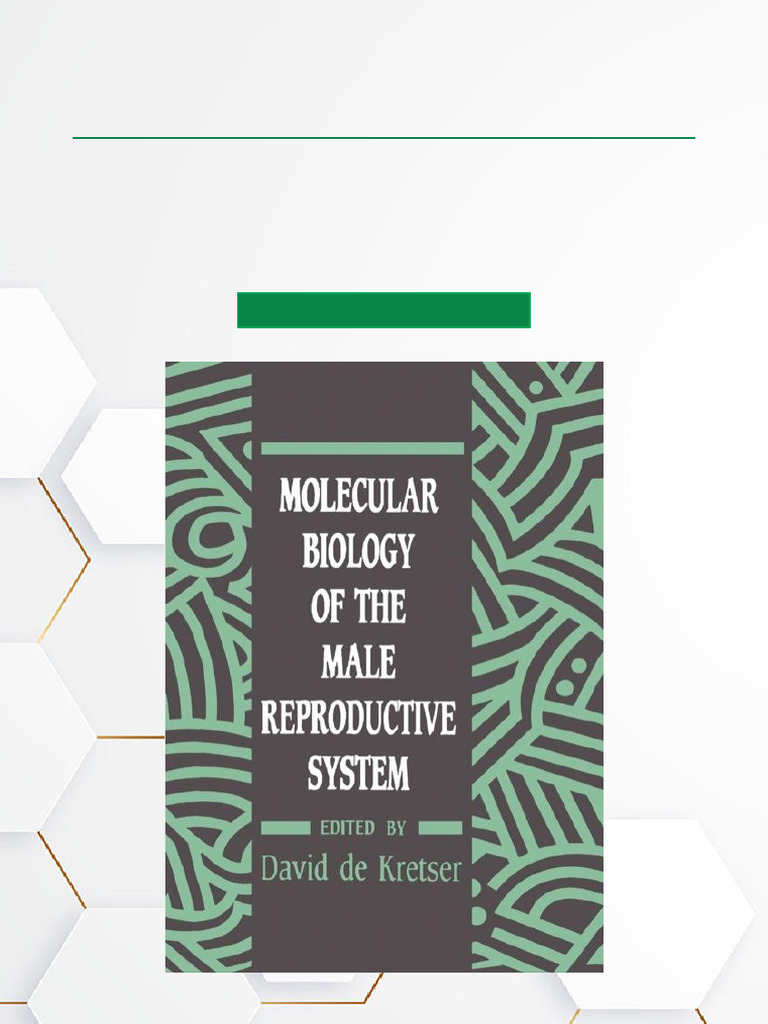 Molecular Biology of The Male Reproductive System - 1st Edition ...
