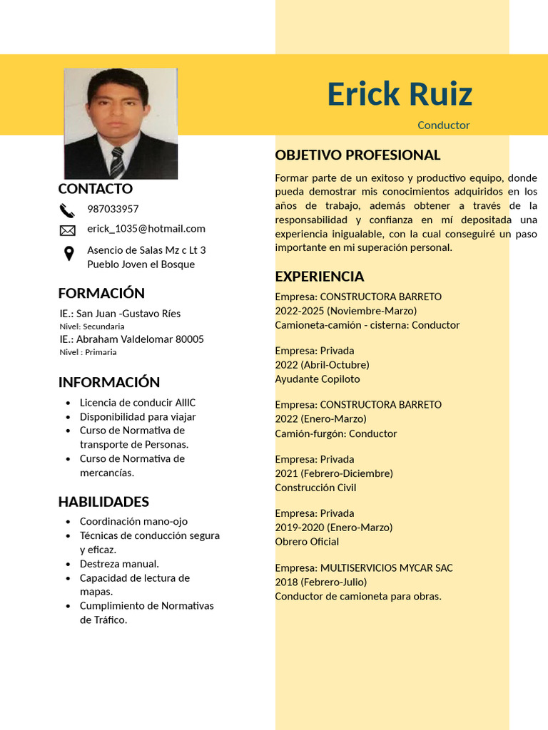 Currículum Vitae Erick Ruiz | PDF