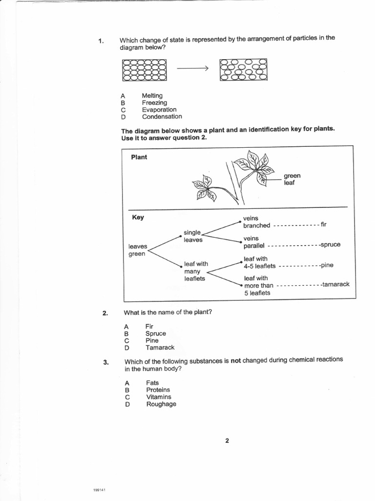 JCE - Science Paper 1 Exams | PDF | Chlorine | Water