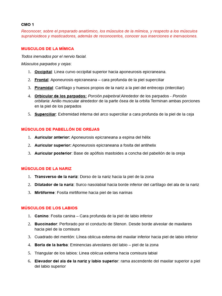 CMO 1 músculos de la mímica, músculos suprahioideos y masticadores | PDF | Nariz humana ...