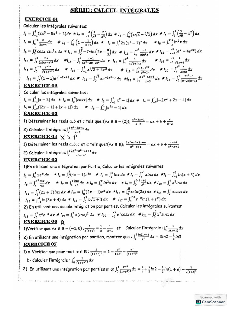 Serie Calcul Integral | PDF