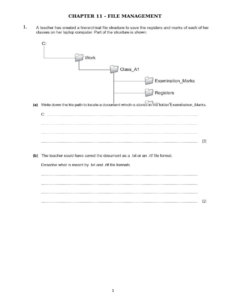 Review Sheet ICT IGCSE - FOR TEST | PDF
