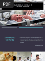 Pnaism Pdf Saúde Feminina Violência