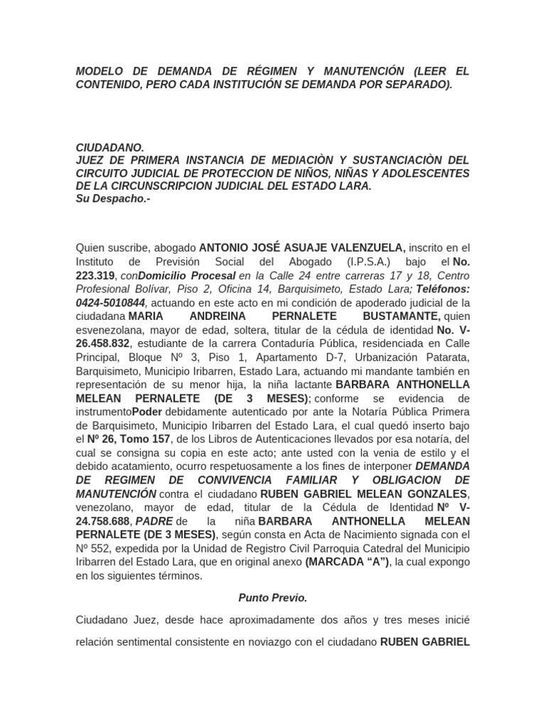Demanda de Régimen y Manutención Familiar | PDF | Pensión alimenticia ...