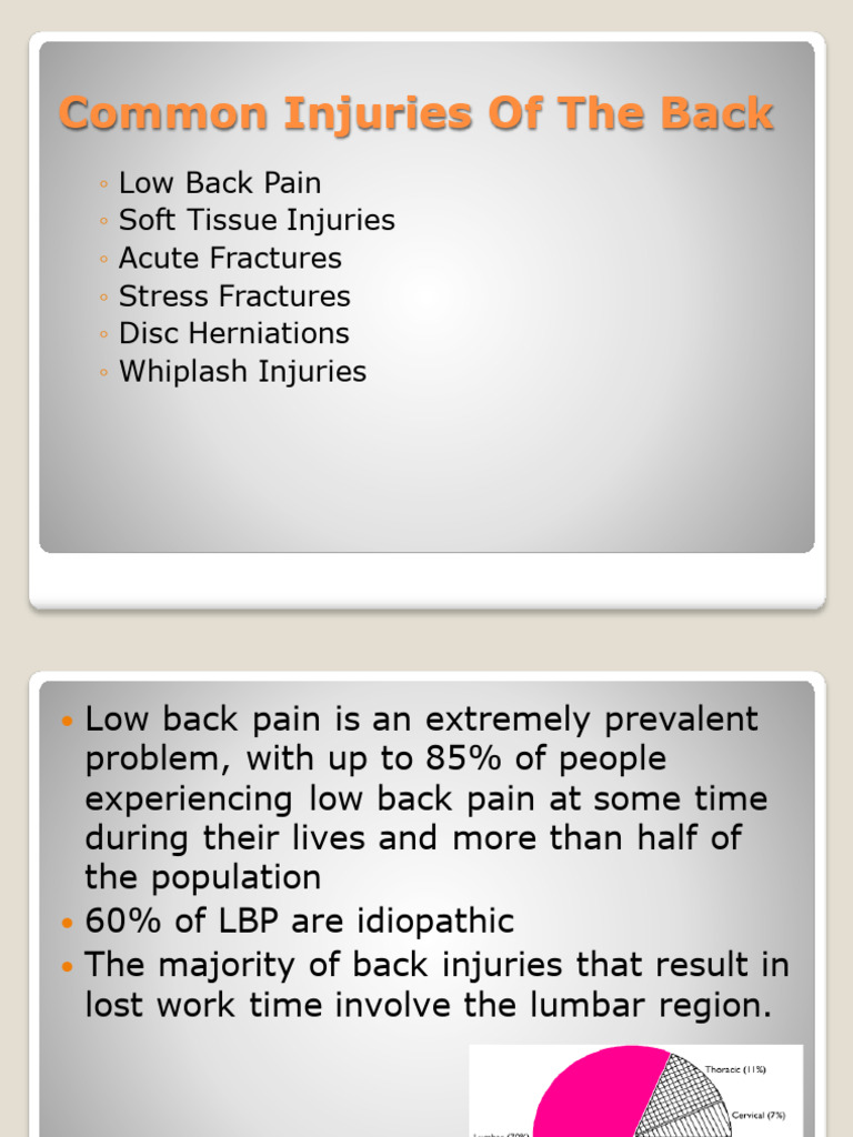 Biomechanics of Spinal Stability3 | PDF | Back Pain | Vertebra