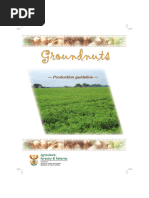 Zambia Groundnut Guide | PDF | Peanuts | Agriculture