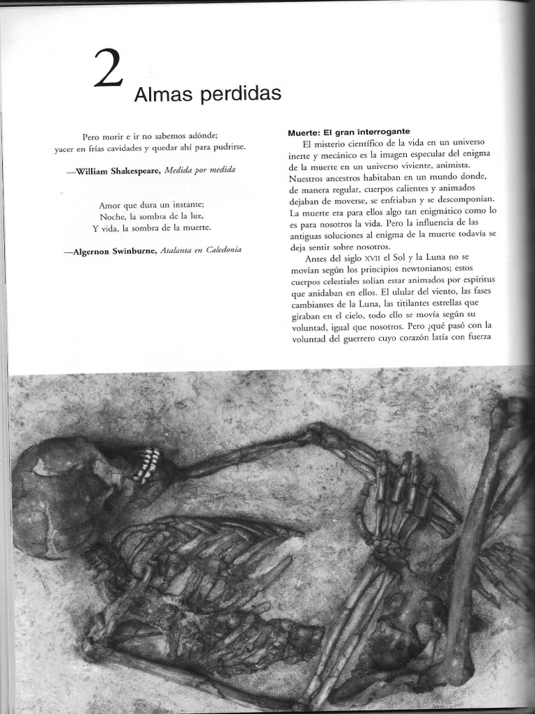 2.almas Perdidas | PDF