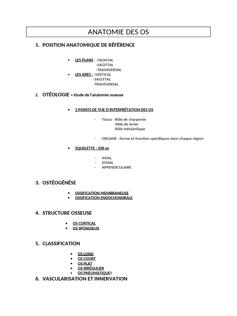 ANATOMIE DES OS | PDF