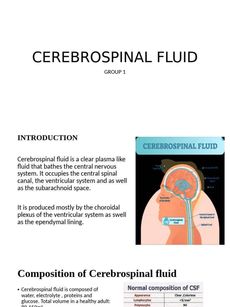 Cerebrospinal Fluid Group 1 | PDF | Cerebrospinal Fluid | Anatomy
