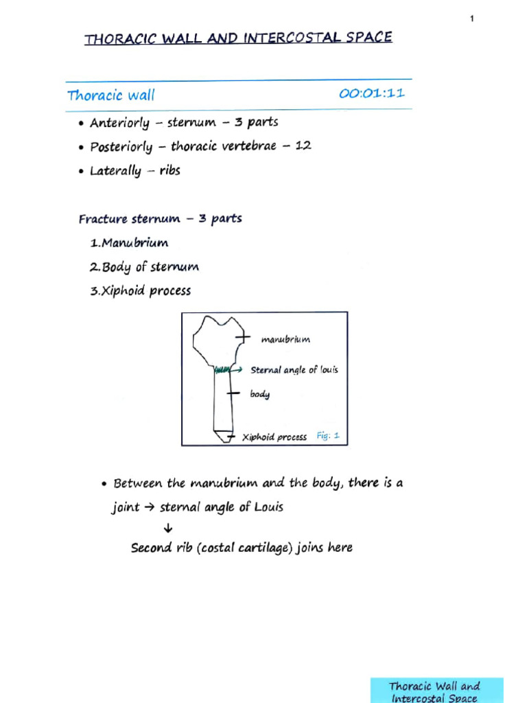 DR Azam Thorax Notes | PDF