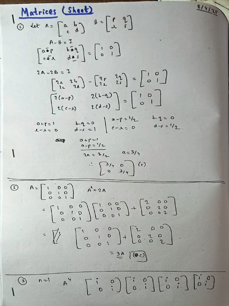 Anne - HW Matrices | PDF