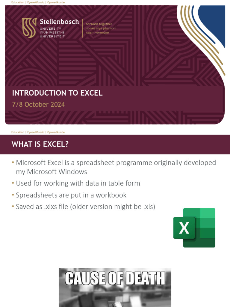 Introduction to Excel_7 and 8 October | PDF | Microsoft Excel | Spreadsheet