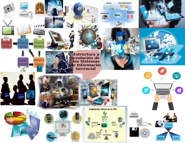 Collage Estructura y Evolución de Los Sistemas de Información Gerencial ...